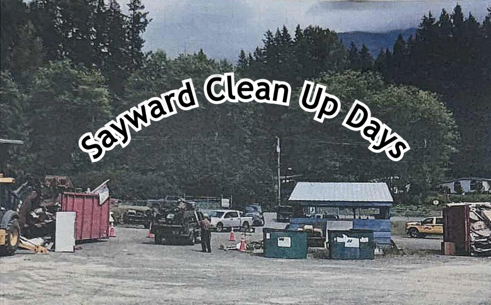 Go Sayward | Where you go for all things Sayward